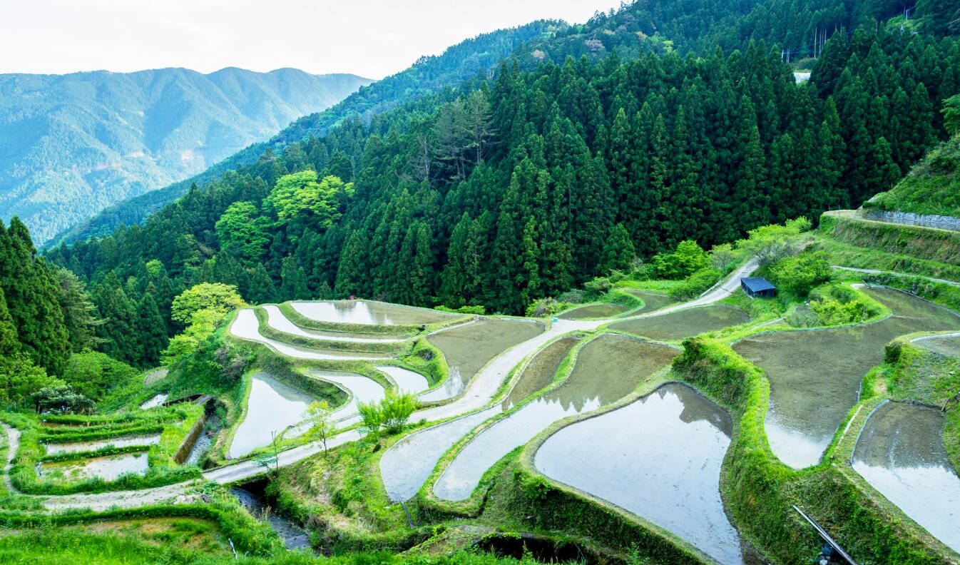 SDGs activity experience tour in Kada/Wakayama and Kamikatsu/Tokushima