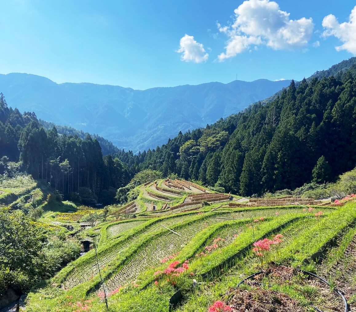 SDGs activity experience tour in Kada/Wakayama and Kamikatsu/Tokushima